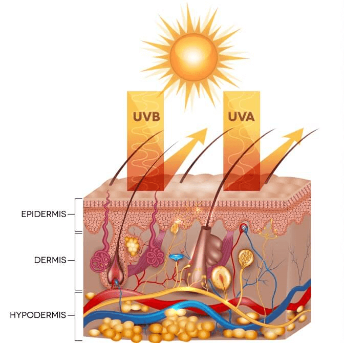 Are you worried about Dry skin from Sun Damage? - Mega We Care